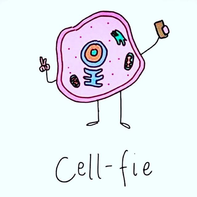Pathophysiology - Medstudy-Aid